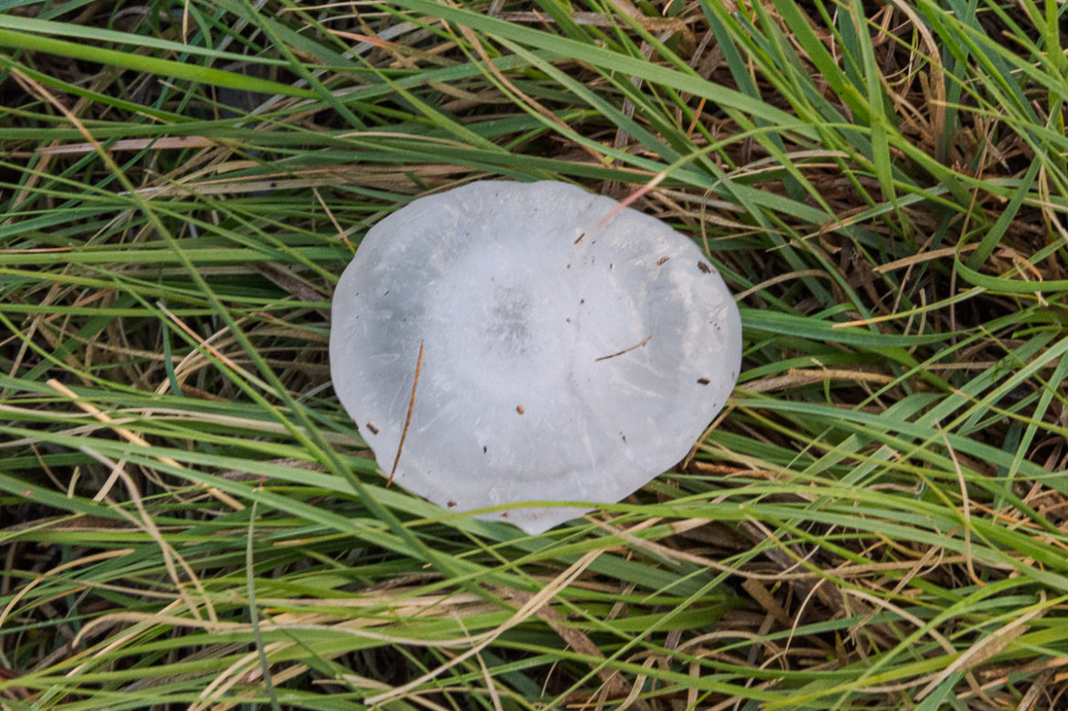 Grêle : formation et caractéristiques des grêlons | Chasseurs d'Orages